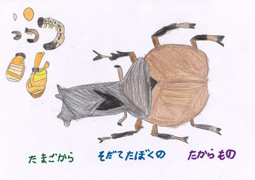 小延 蒼其’s Award Work : The 15th Japanese Language Contest | World ...