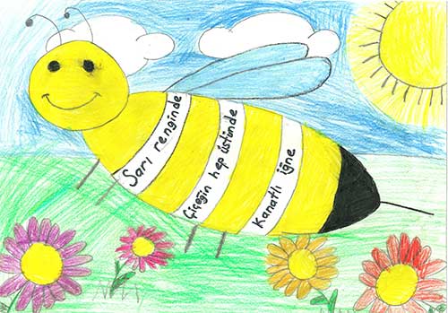 İlkin Naz ÖNDER’s Award Work : The 15th Turkey Contest | World Children ...